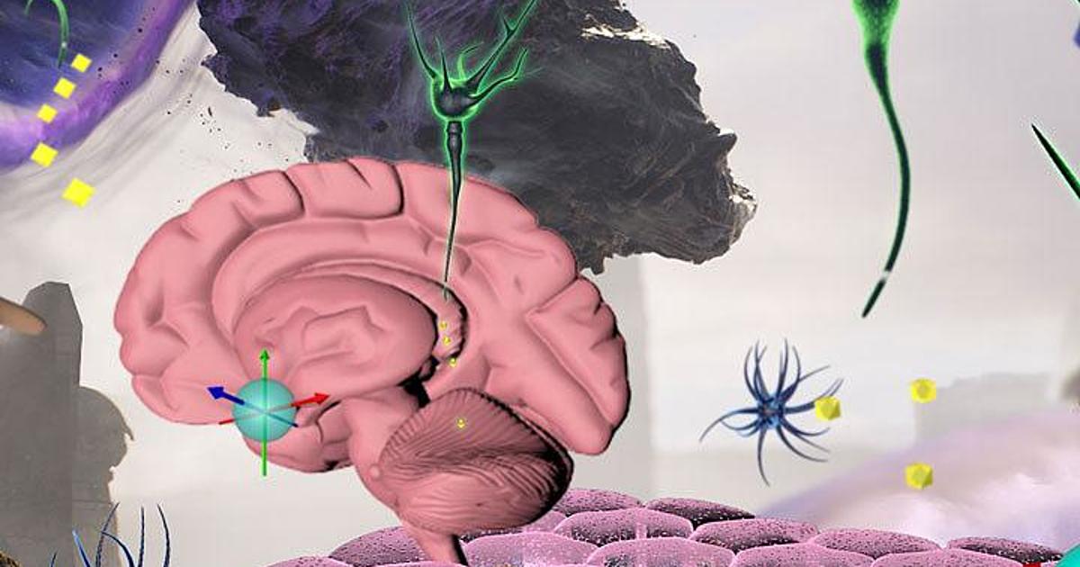 Sasha Puchkova’s Speculative Concilium • Garage Digital — Garage ...